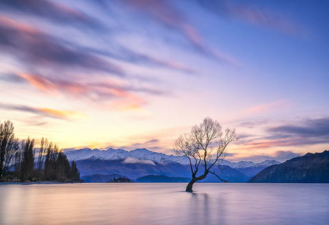 September 2020 – Manukau Photographic Society